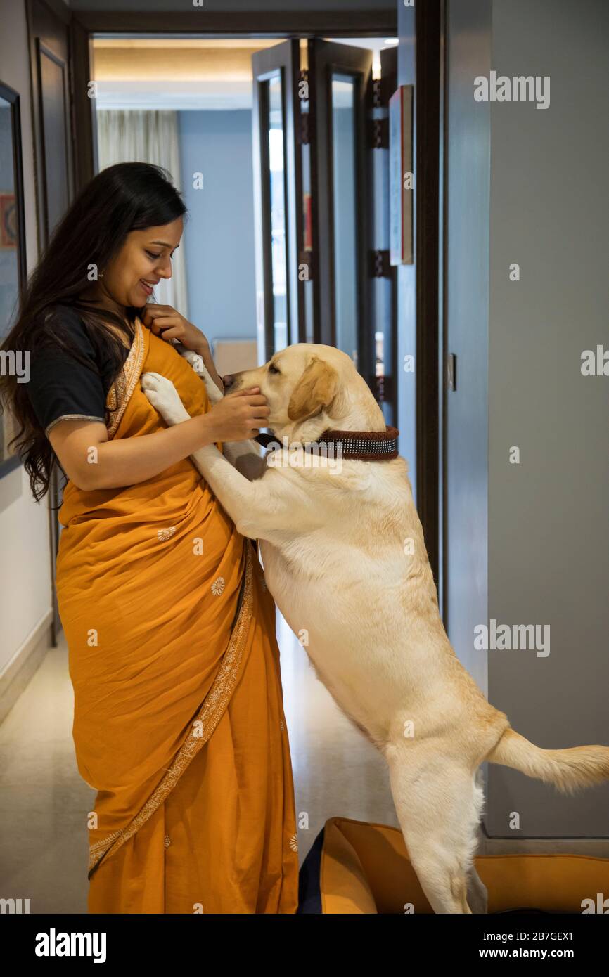 Animal pampering hi-res stock photography and images - Alamy