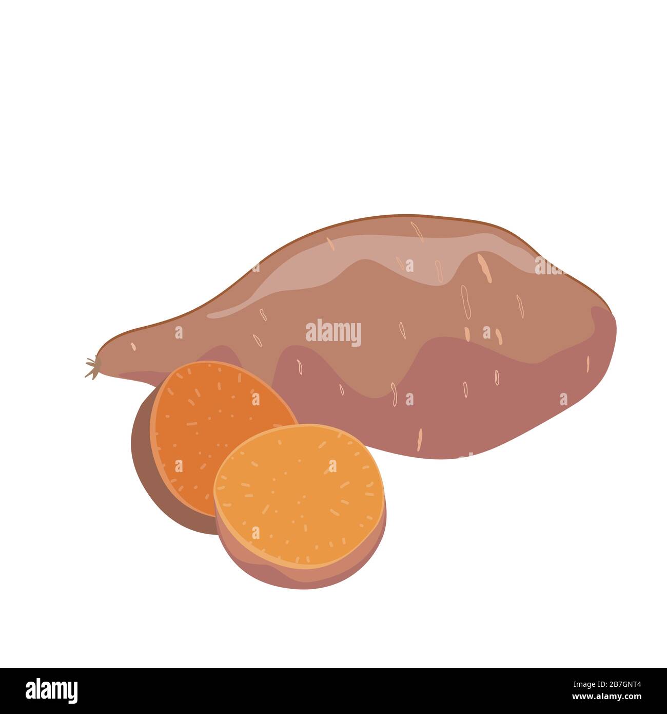 Yam vector hi-res stock photography and images - Alamy