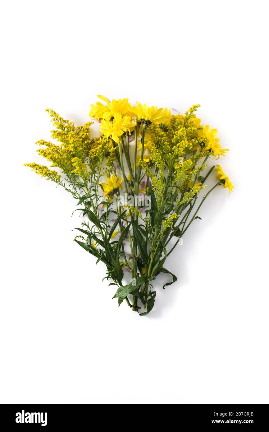 Natural yellow flowers blooming Cut Out Stock Images & Pictures - Alamy