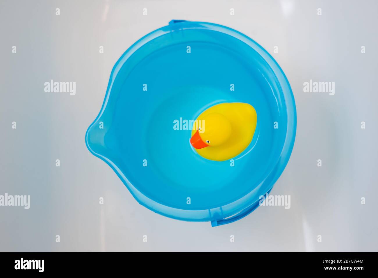 Animal rubber hi-res stock photography and images - Alamy