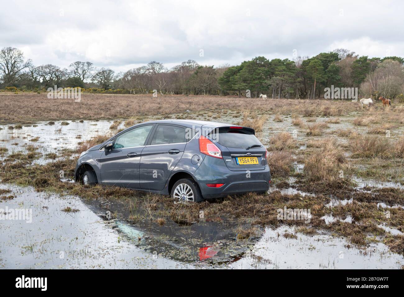 Ford Fiesta unusually parked in the New Forest 2020 Stock Photo - Alamy