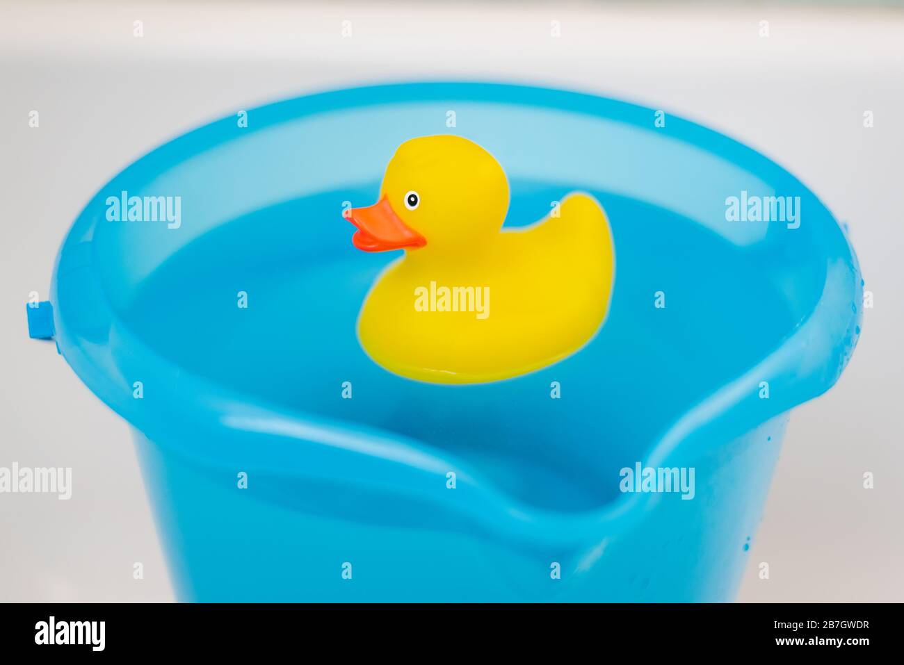 Yellow rubber duck in a blue bucket full of water Stock Photo - Alamy