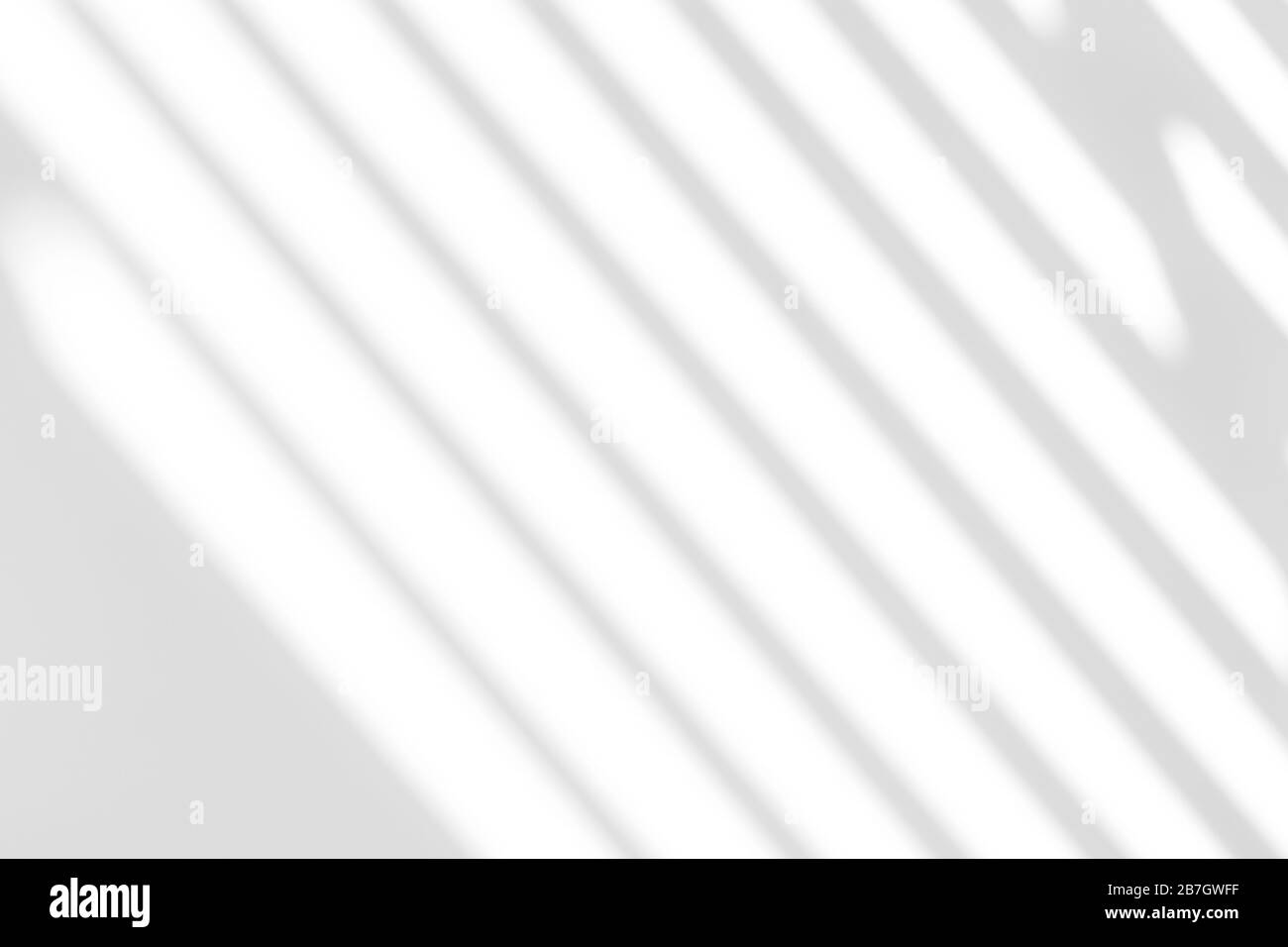 Organic drop shadow on a white wall Stock Photo - Alamy