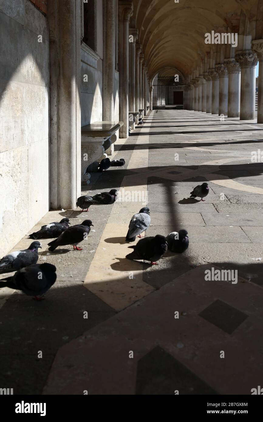 Venecia 2020 hi-res stock photography and images - Alamy