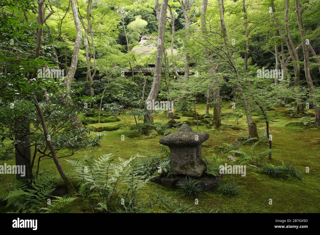 Impressive moss garden of Gio-ji temple in Kyoto, Japan Stock Photo - Alamy