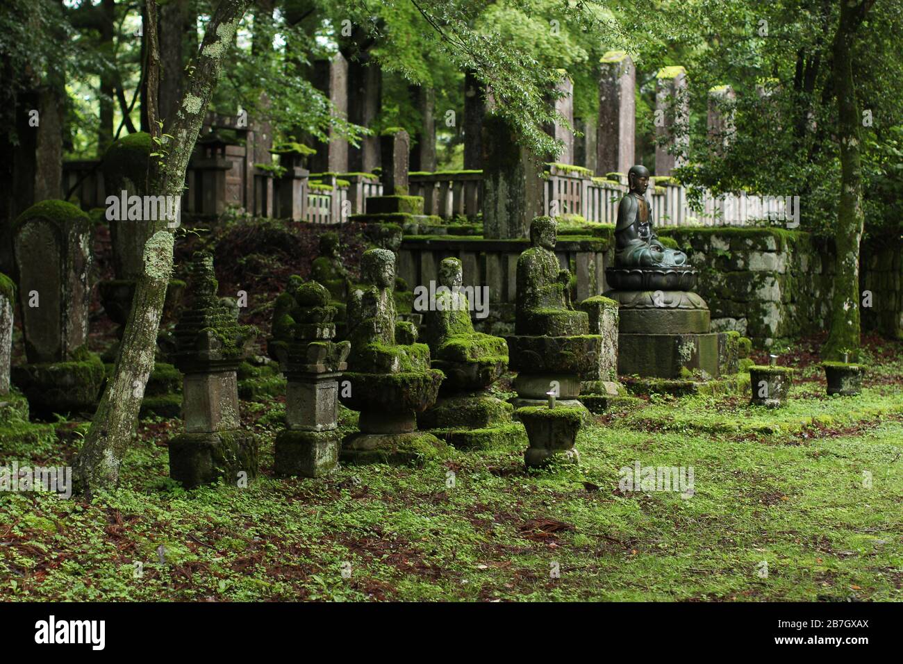 Old buddhist cemetery in Nikko, Japan Stock Photo - Alamy