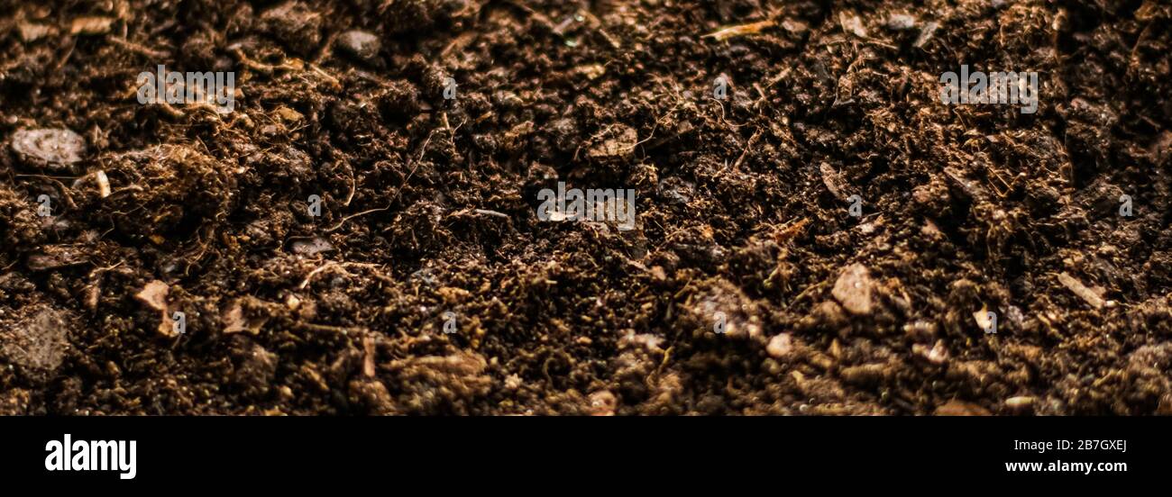 Earth ground texture as background, nature and environmental backdrop ...
