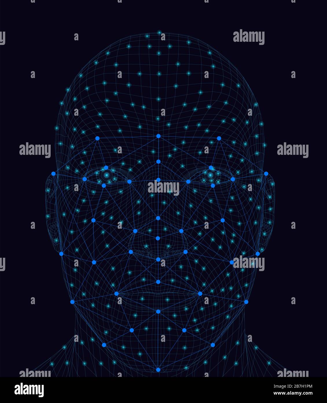 Wireframe of a male face with identification. Face recognition. Vector ...