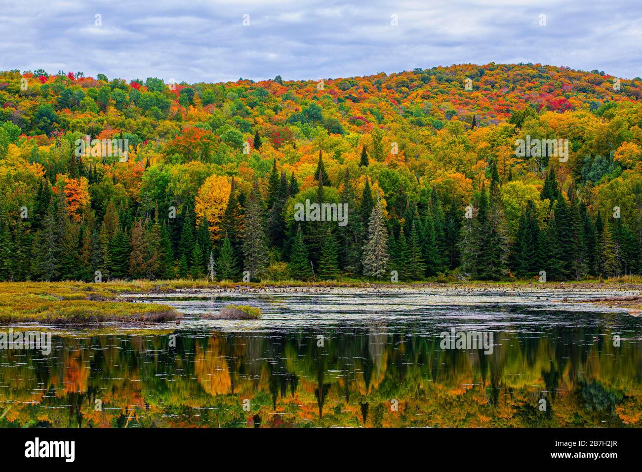 Autumn forest reflected in lake near La Minerve Laurentians Quebec ...