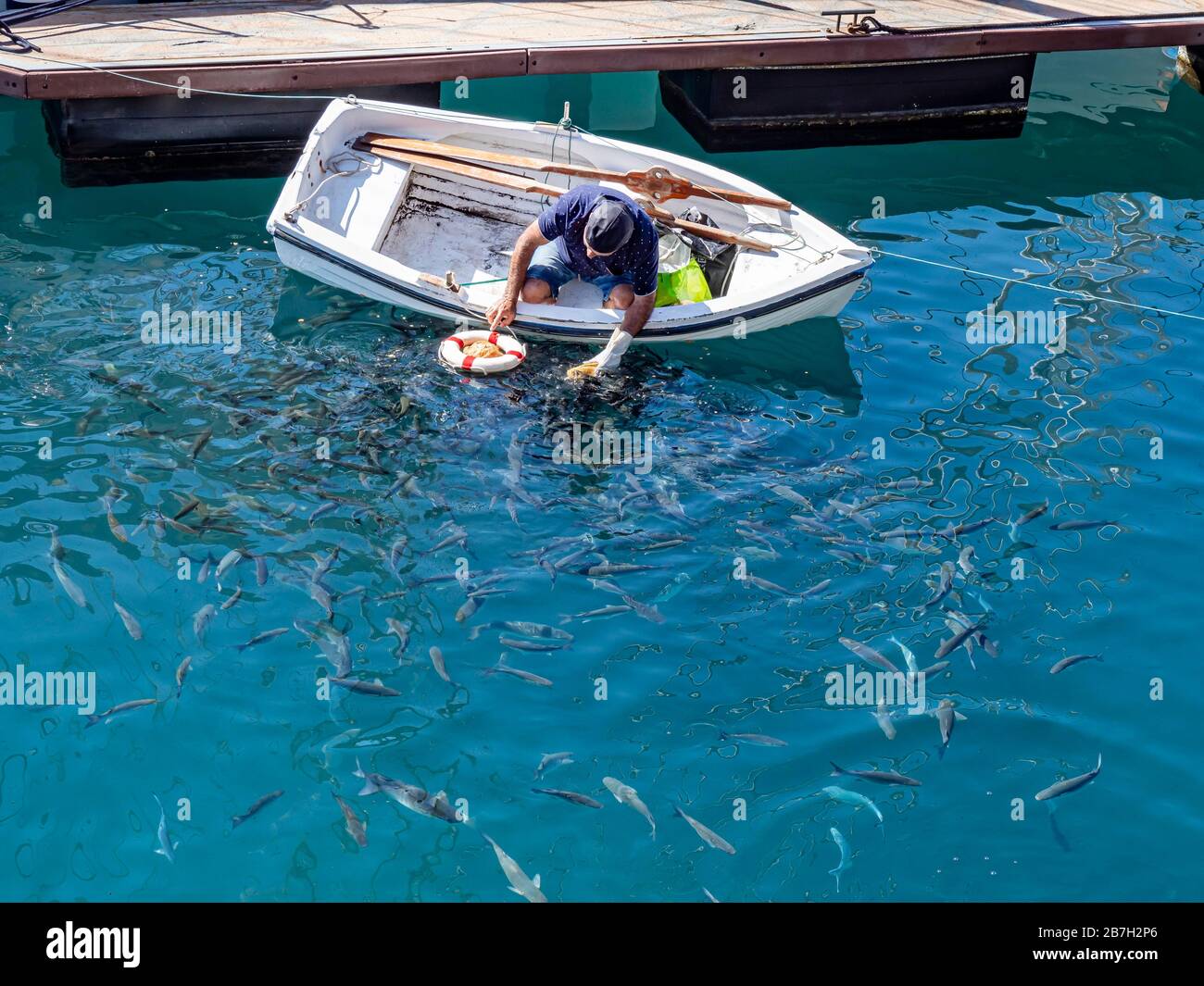 Feeding fish hi-res stock photography and images - Alamy