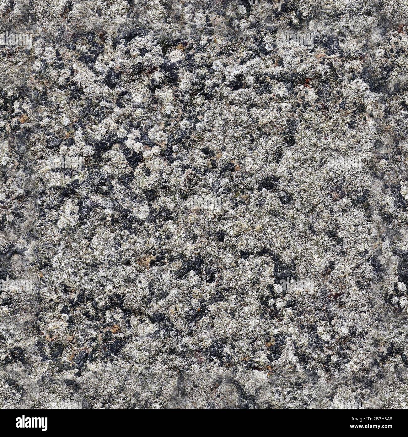 Concrete Repeat Texture High Resolution Stock Photography and Images ...