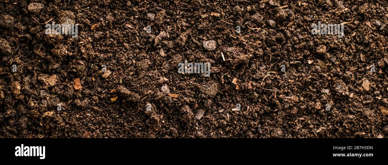 Earth ground texture as background, nature and environmental backdrop ...