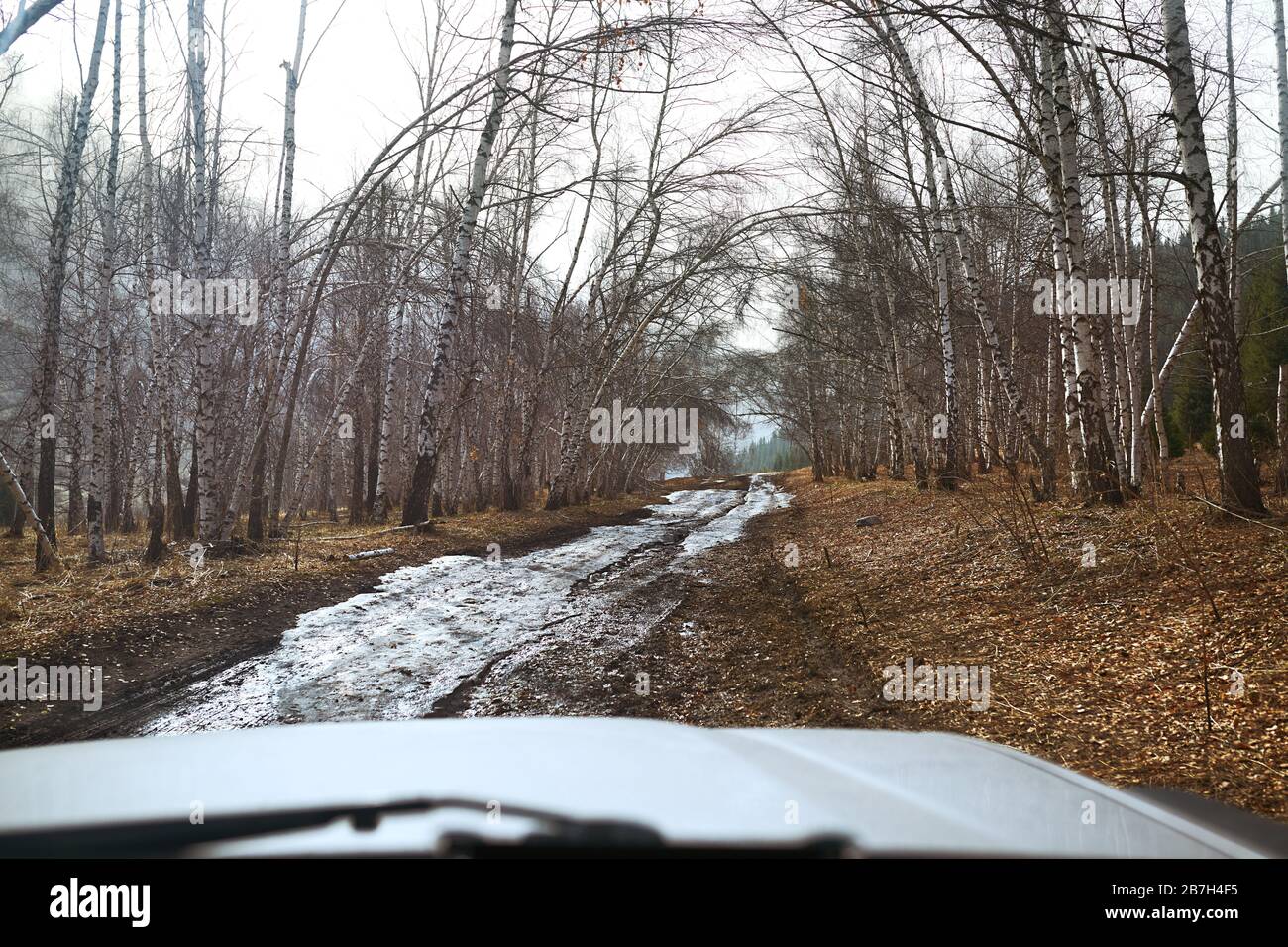 Road trip through the nature of Europe. Car point of view Stock Photo ...
