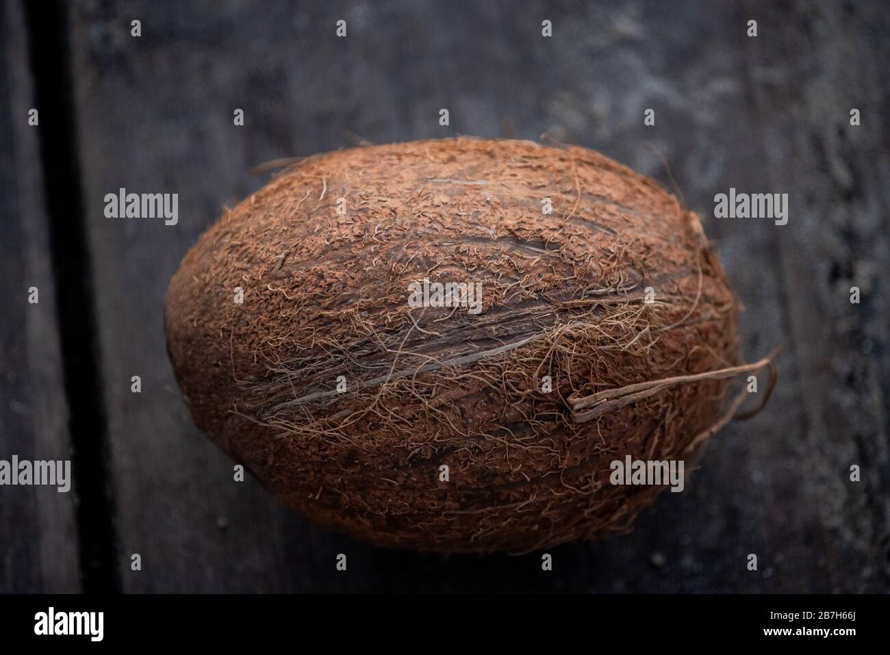 Coconut. fruits of the tree are used not only for cooking, but also for ...
