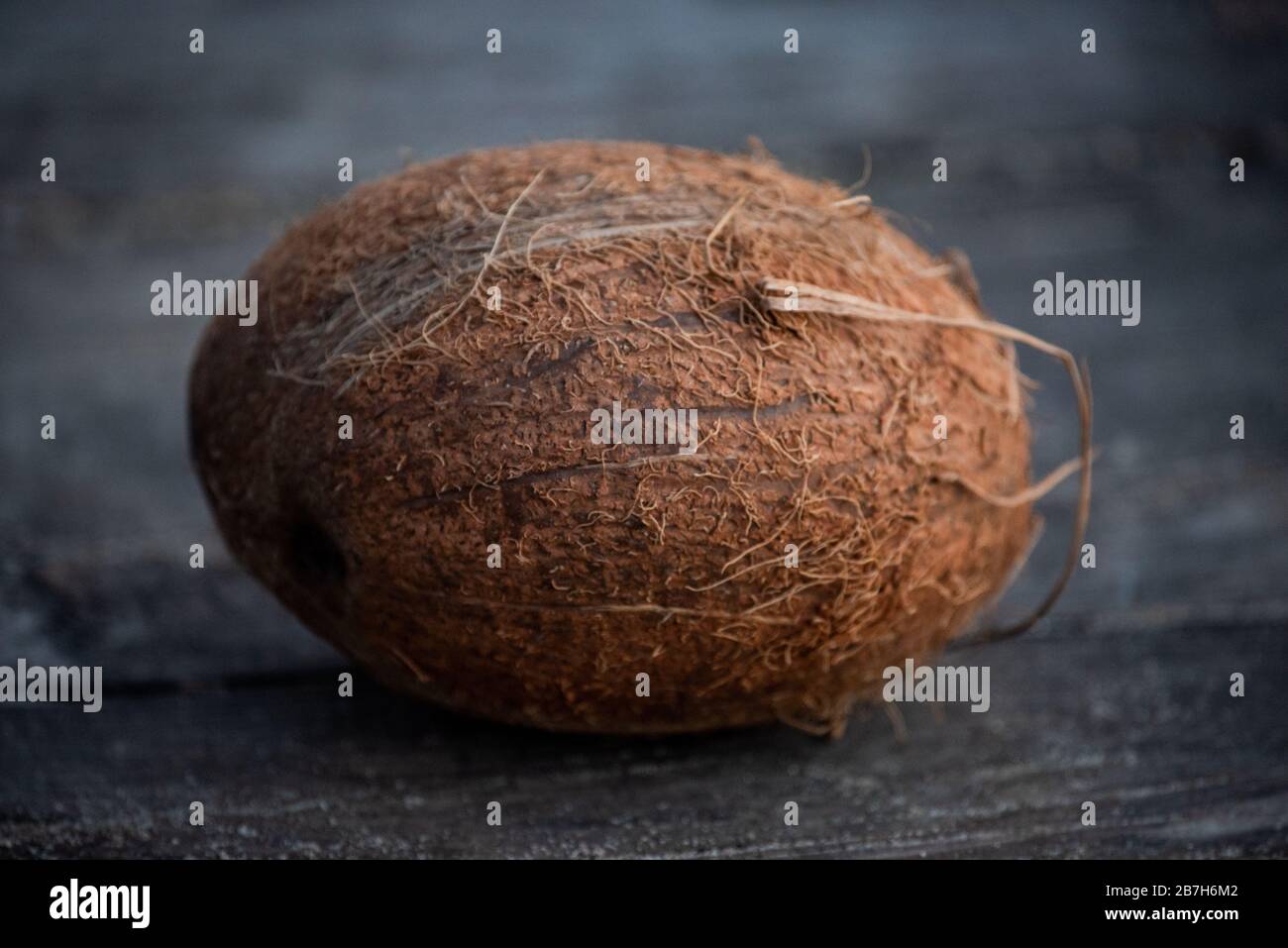 Coconut. fruits of the tree are used not only for cooking, but also for ...