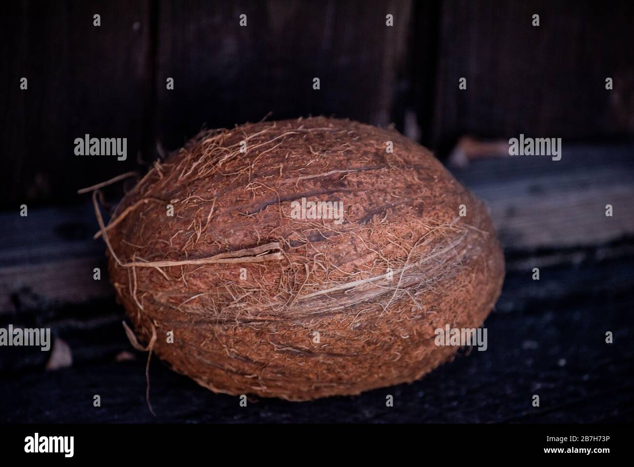 Coconut. fruits of the tree are used not only for cooking, but also for ...