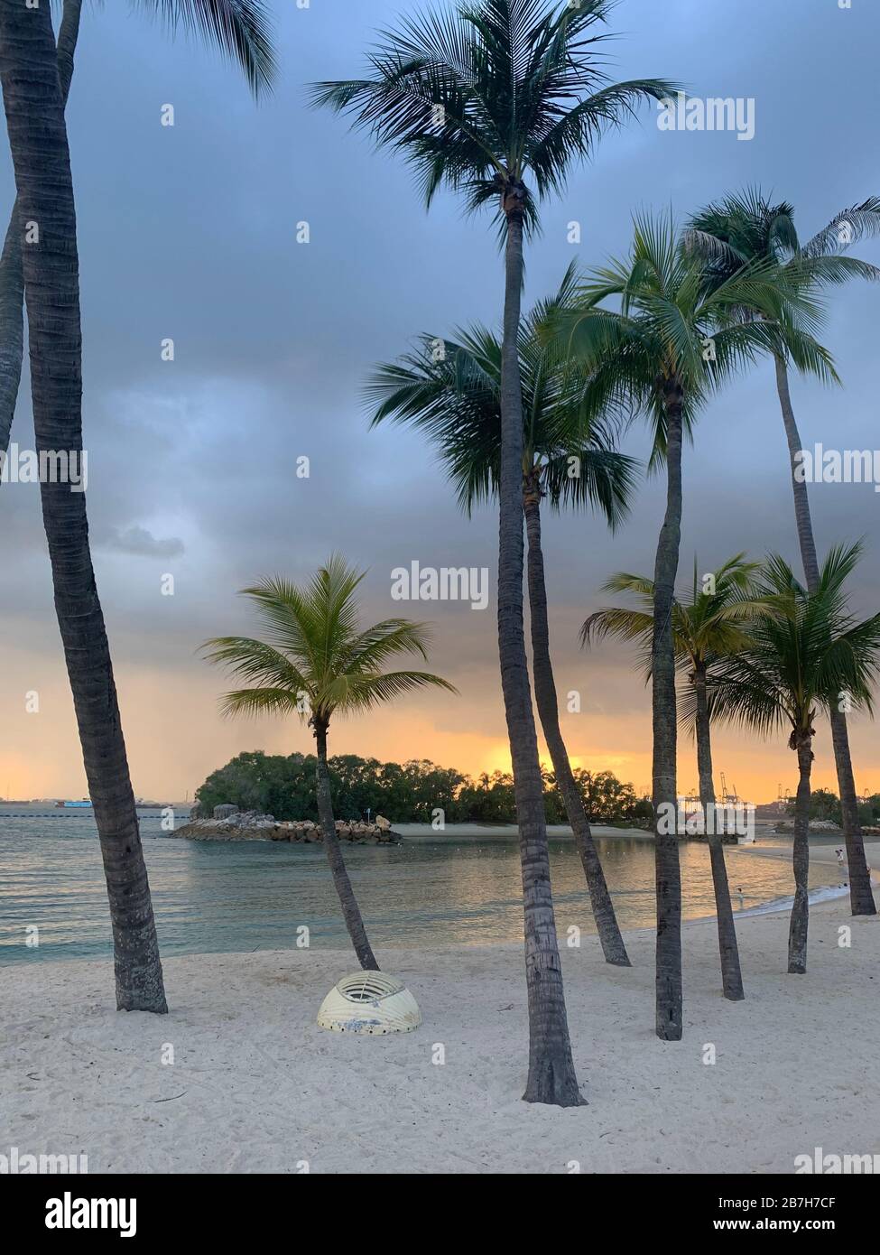 White sand beach with coconut trees silhouettes at Sentosa Island Stock ...