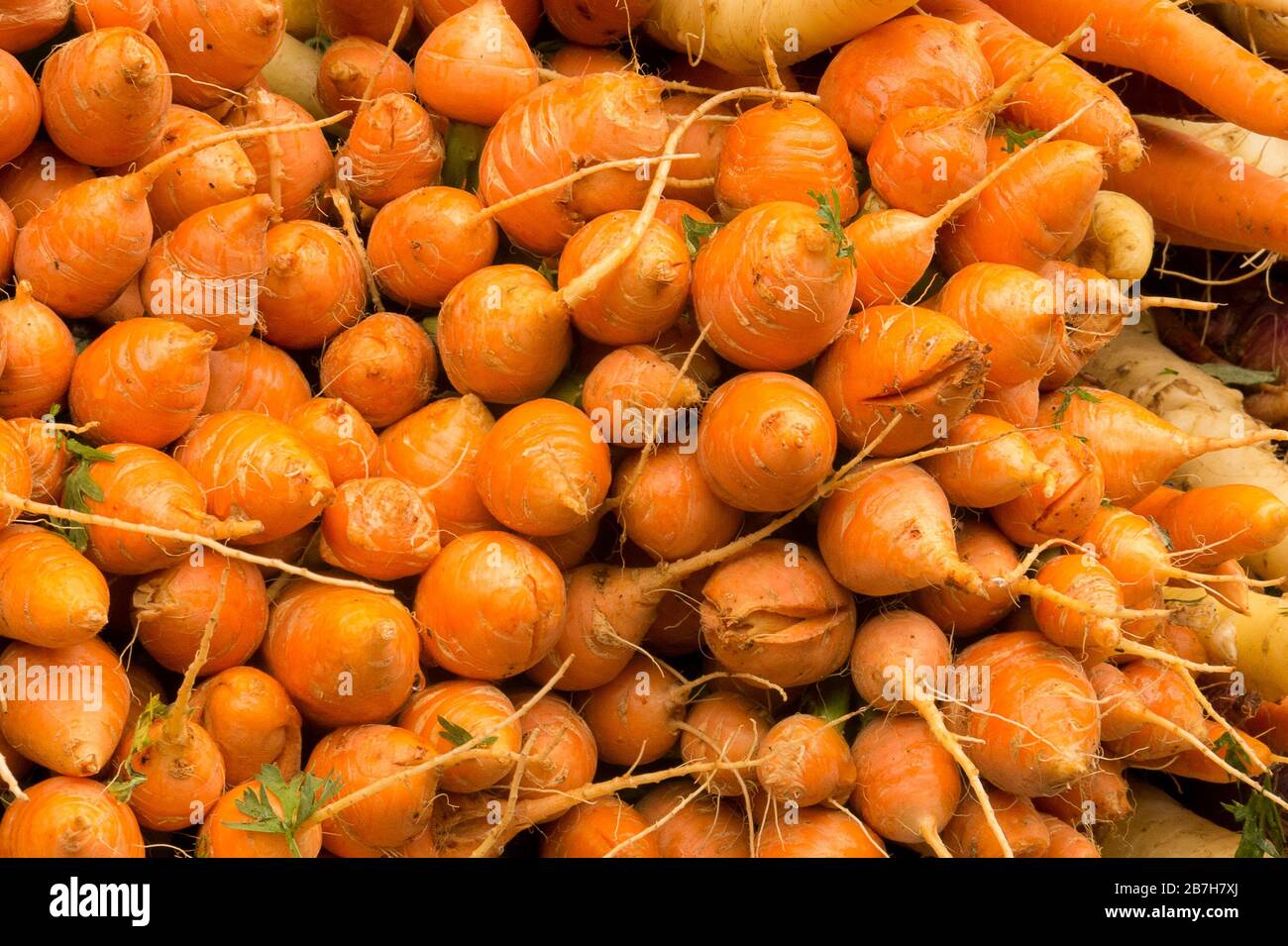 Stack of carrots for sale at farmers market Stock Photo - Alamy