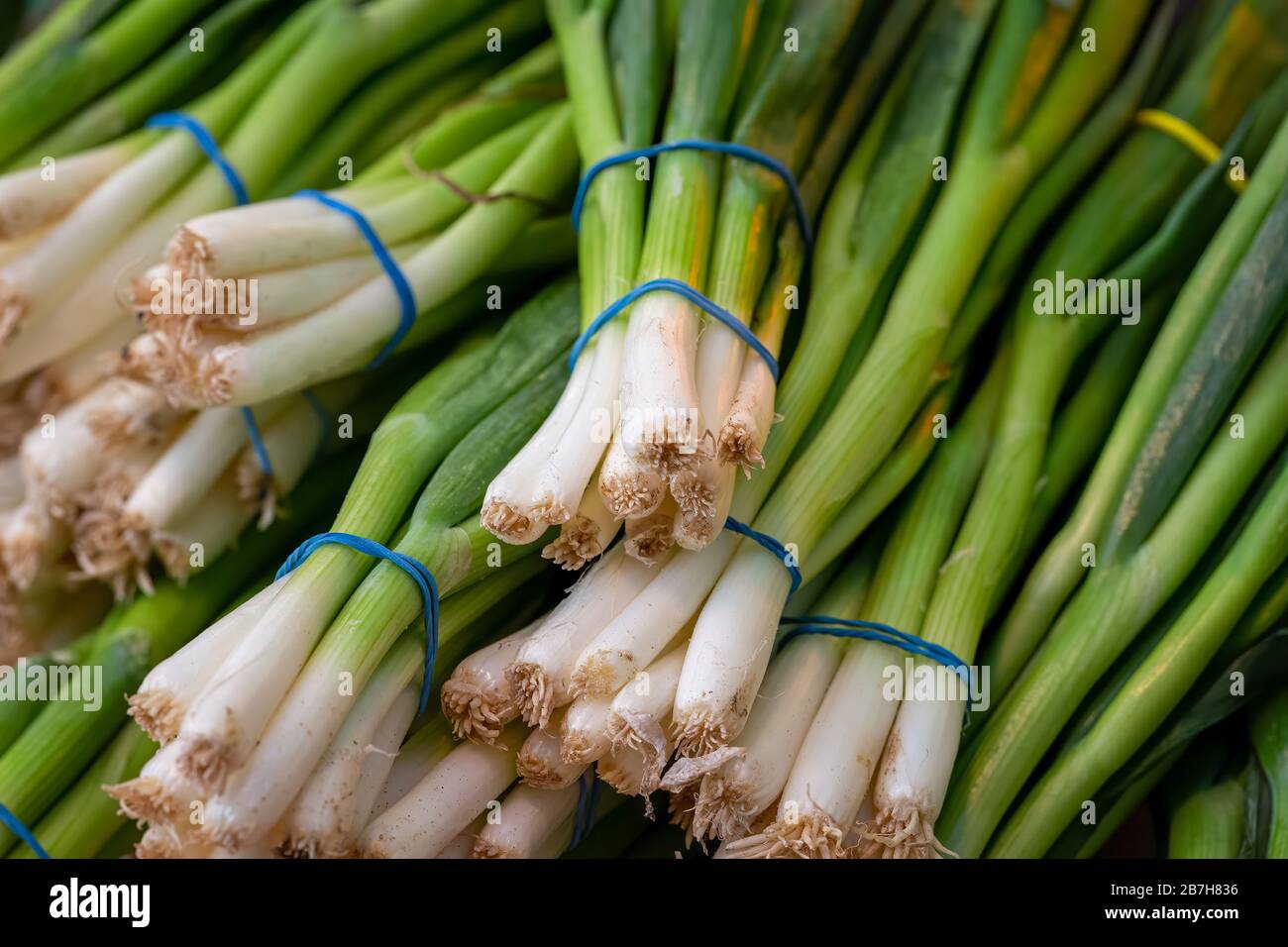 Salad supermarket uk hi-res stock photography and images - Alamy