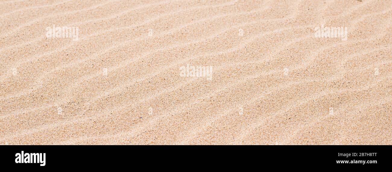 Sand on the beach in summer, texture close-up as background Stock Photo ...
