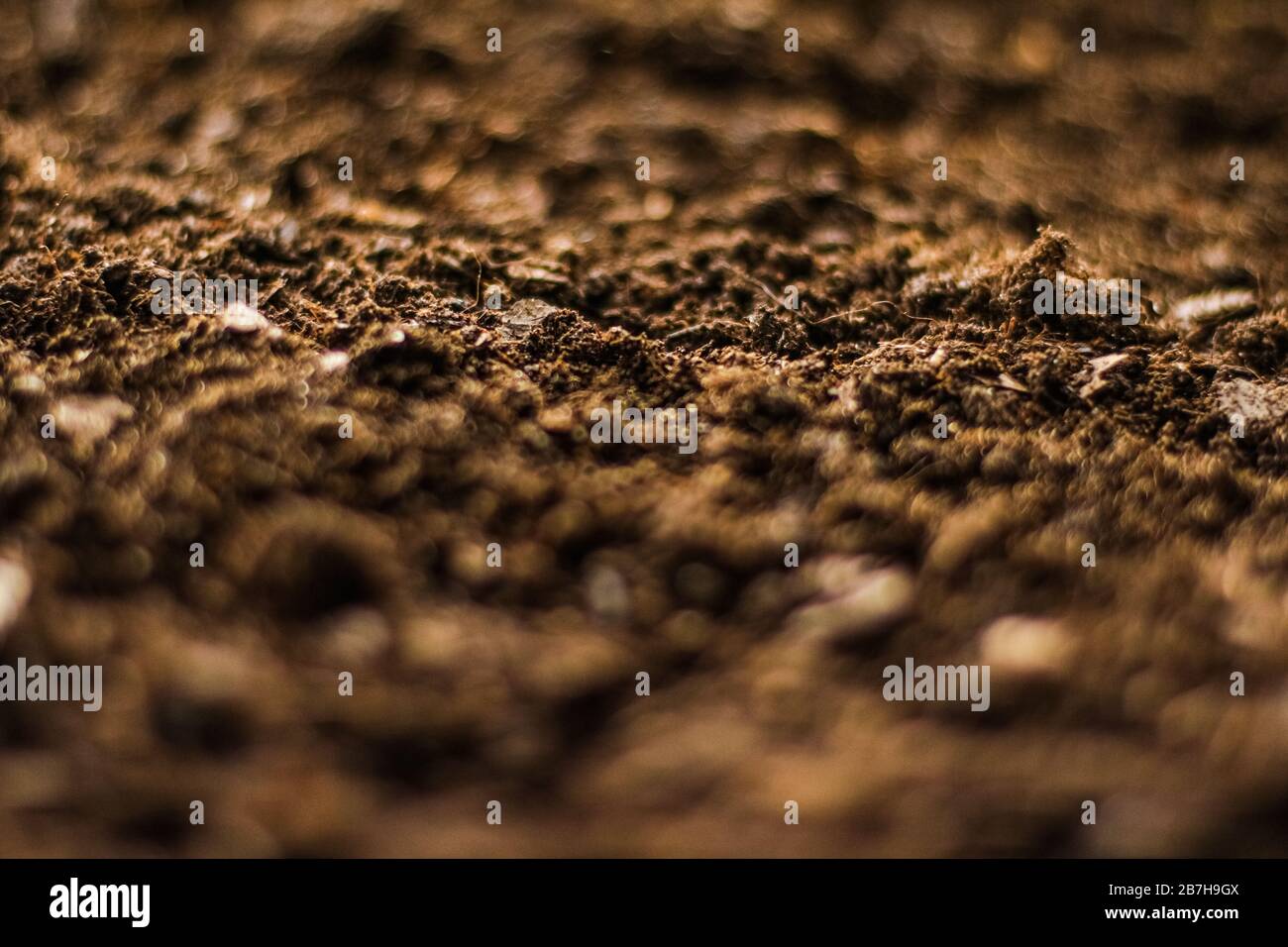 Earth ground texture as background, nature and environmental backdrop ...