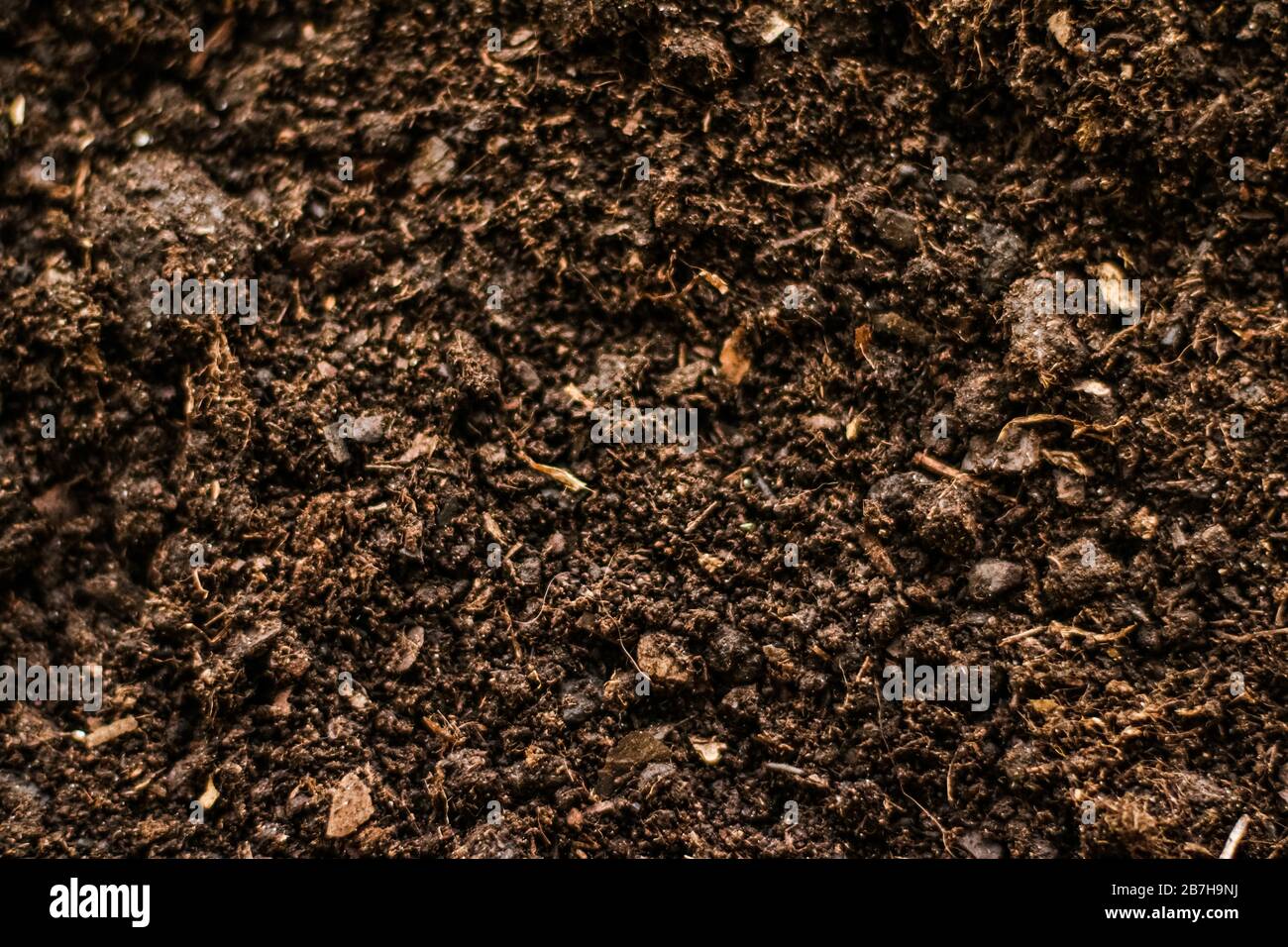 Earth ground texture as background, nature and environmental backdrop ...