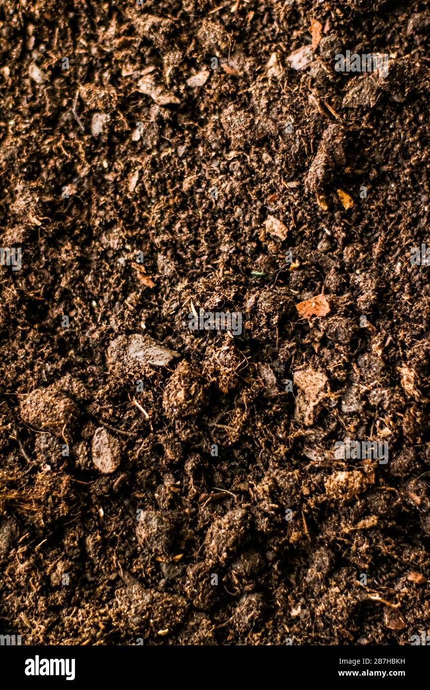 Earth ground texture as background, nature and environmental backdrop ...