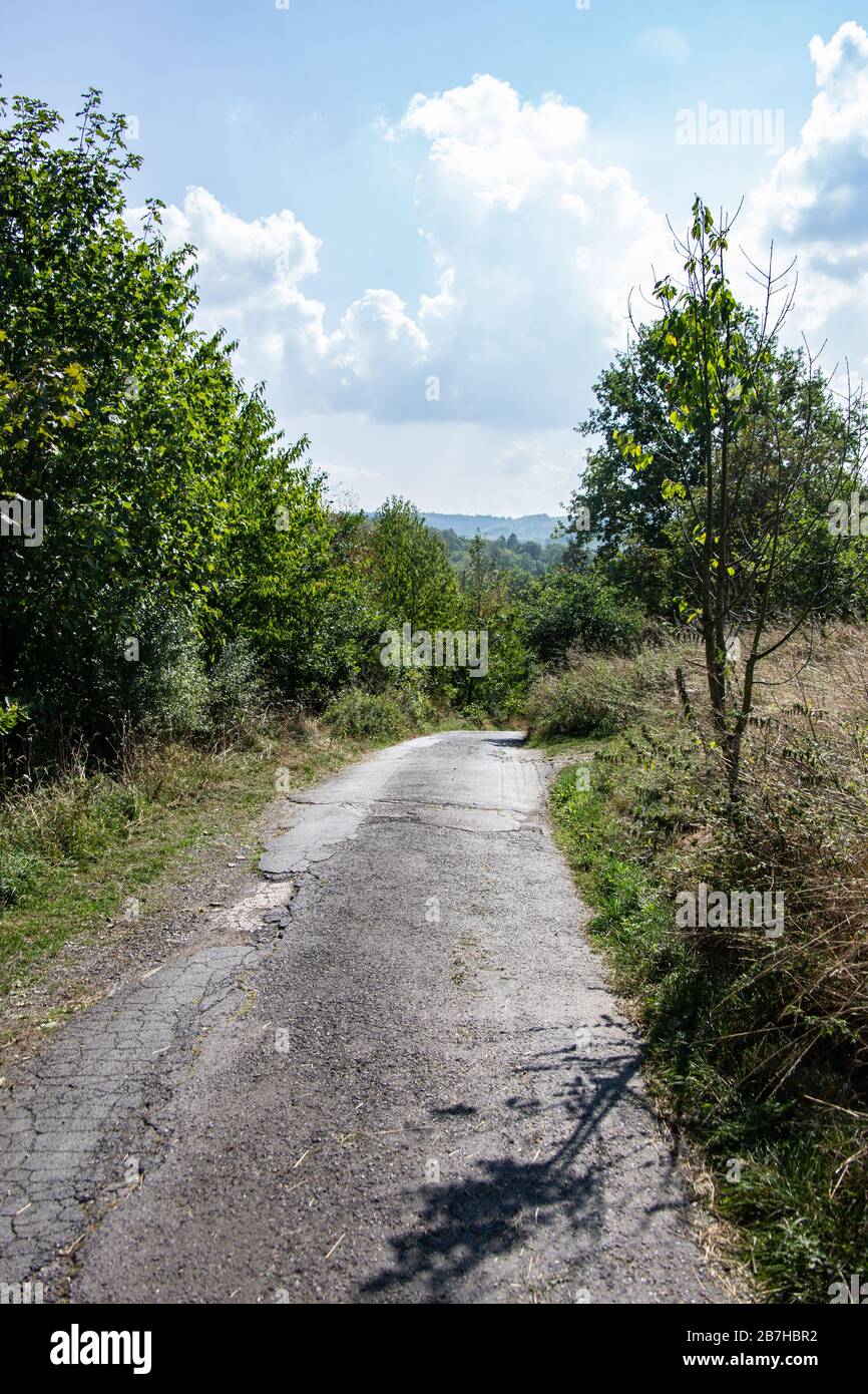 Wide forest path hi-res stock photography and images - Alamy