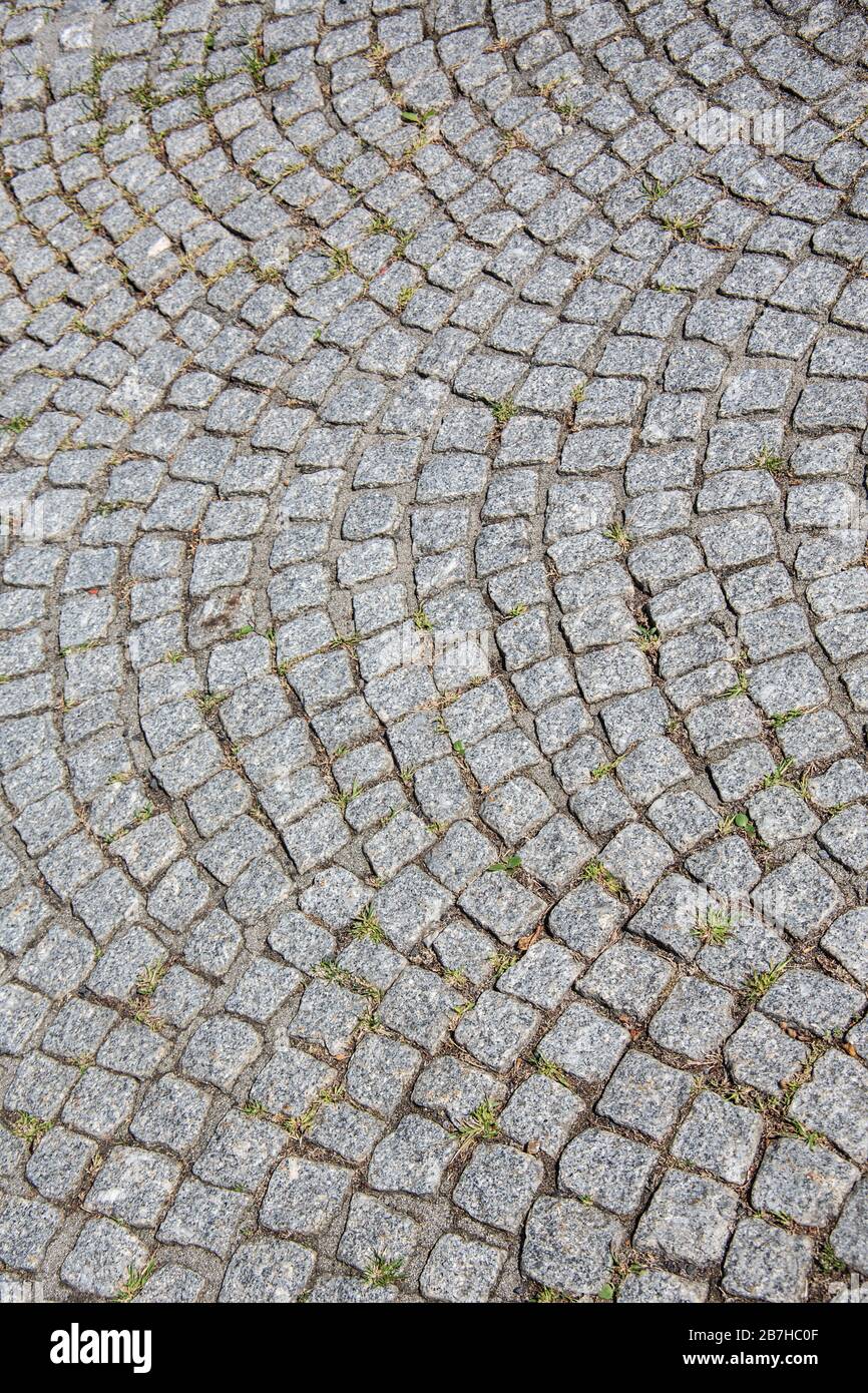 gray concrete paving slabs on the sidewalk Stock Photo - Alamy