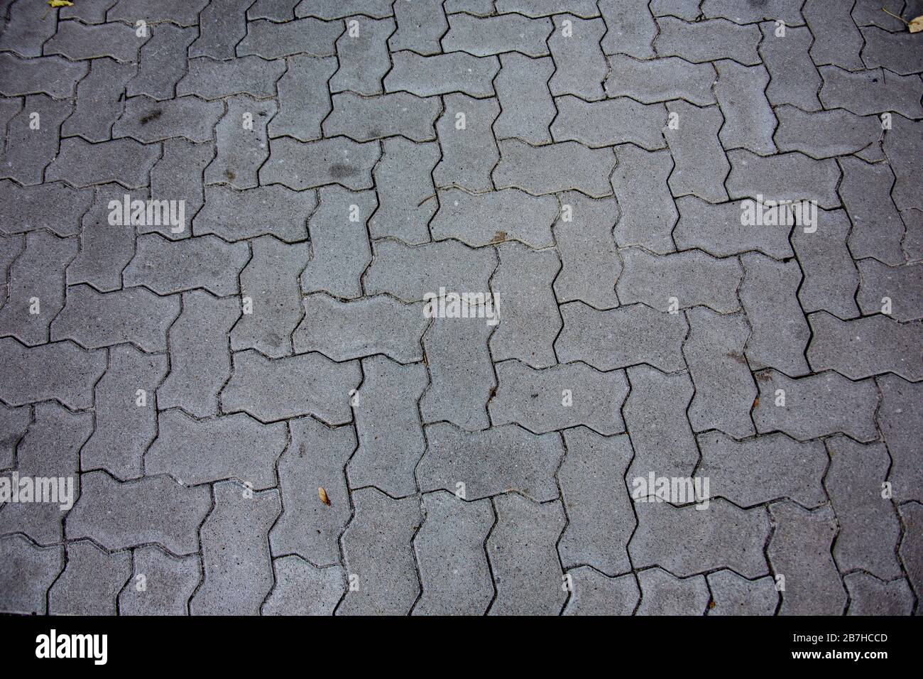 gray concrete paving slabs on the sidewalk Stock Photo - Alamy