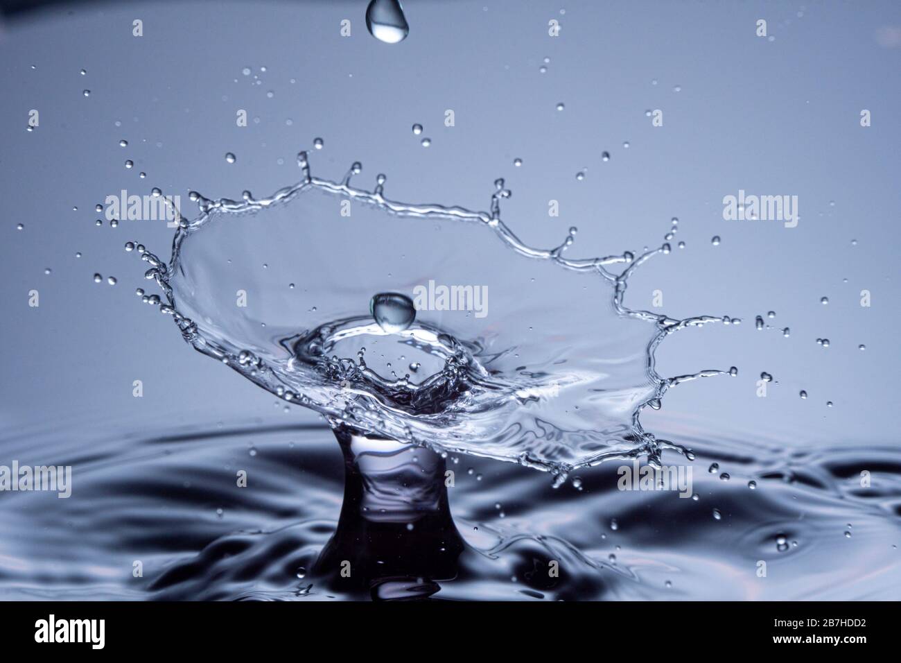 Water drops collision on a blue background. Abstract clear nature ...