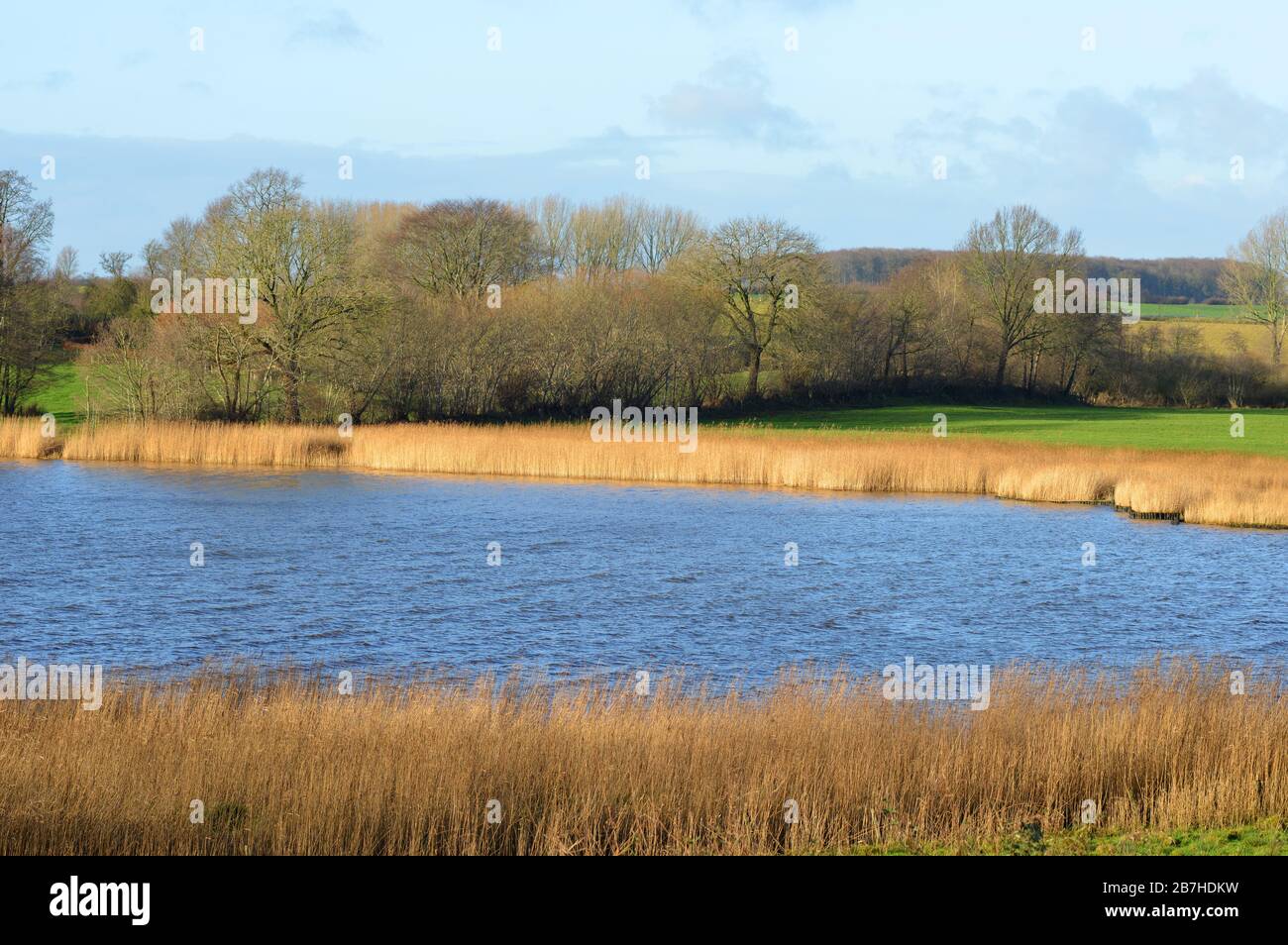 Natural park schlei fjord hi-res stock photography and images - Alamy
