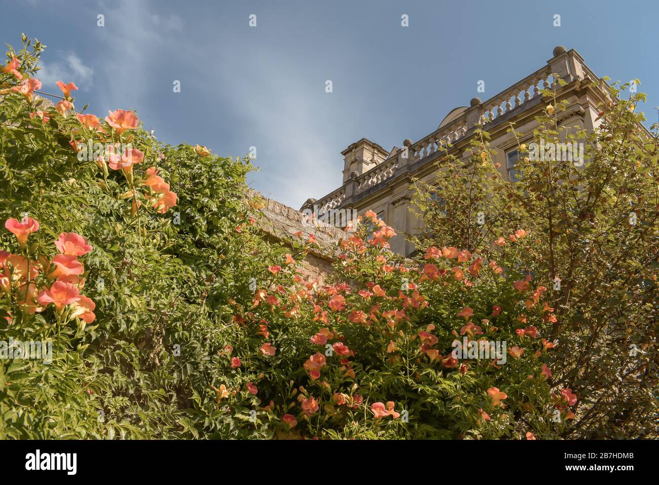 Chapel of the flowers hi-res stock photography and images - Alamy