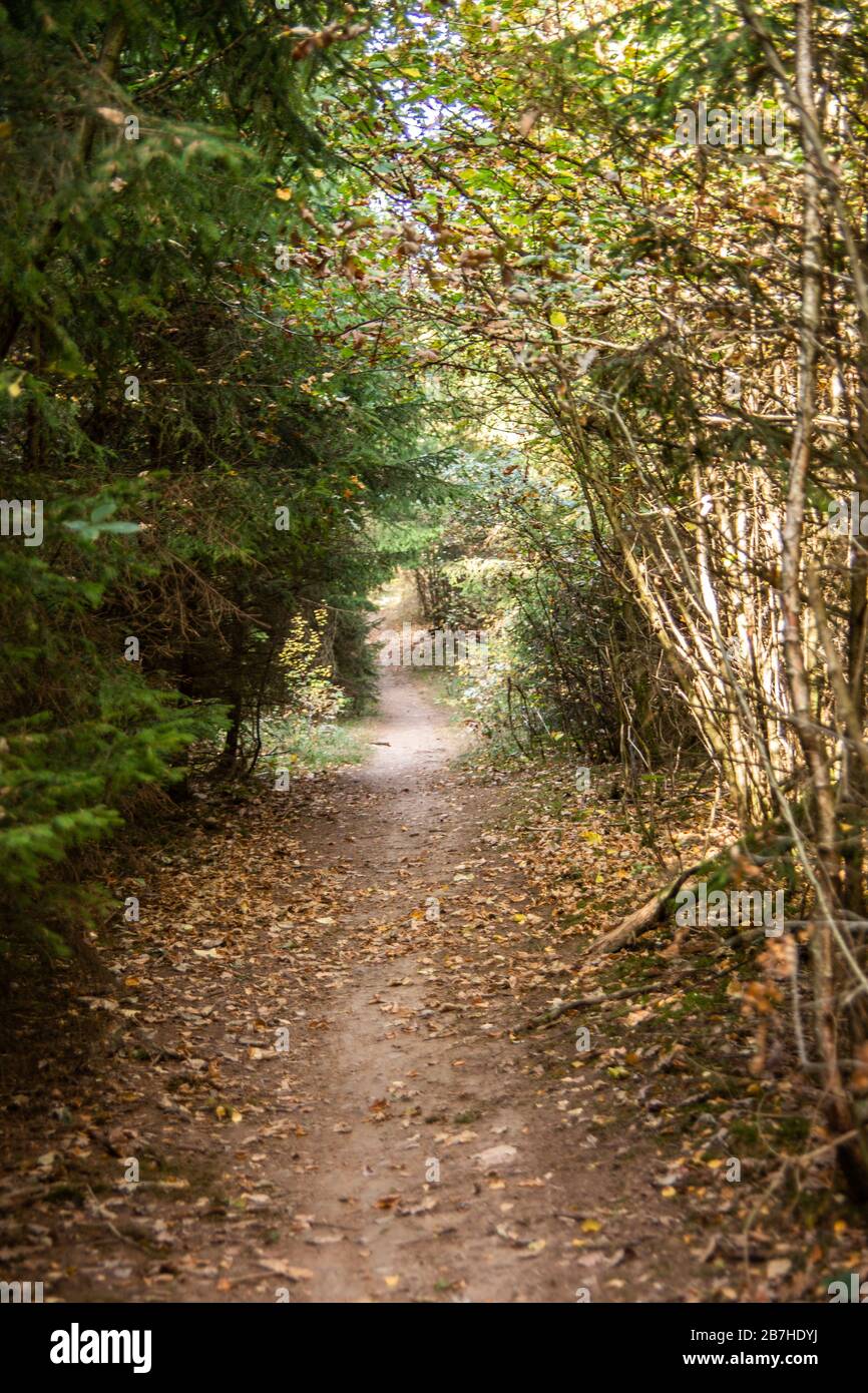 Rascheln hi-res stock photography and images - Alamy