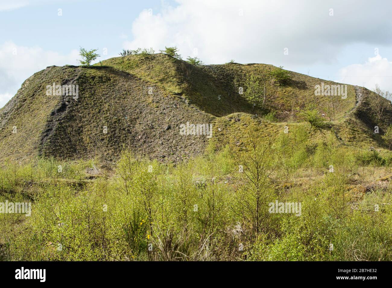 Waste ground and coal slag heaps being overgrown near Uddingston ...