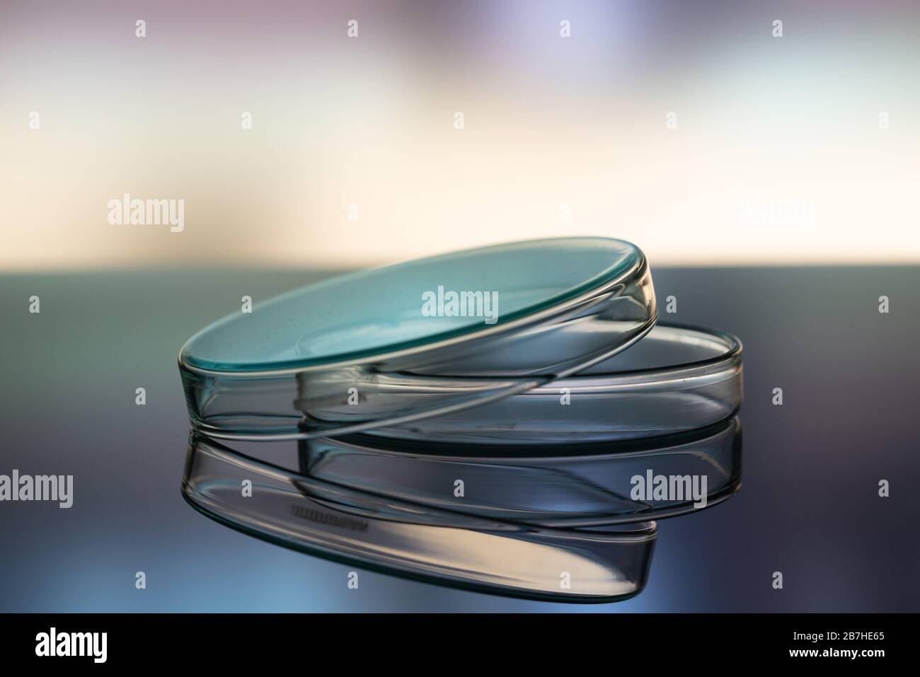 Empty petri dish with lid in laboratory Stock Photo - Alamy