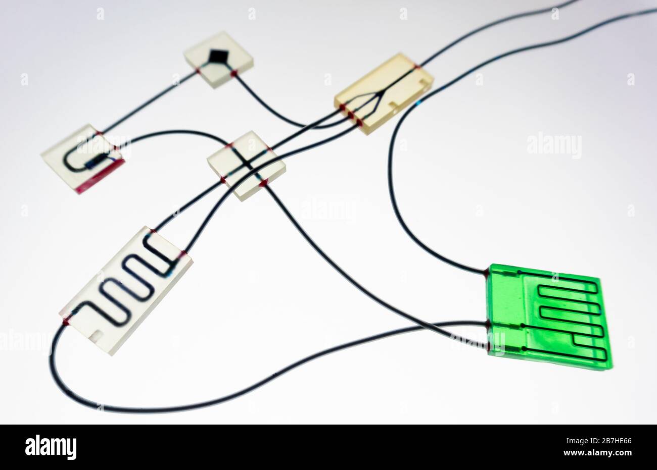 Organ-on-a-chip (OOC) - microfluidic device chip that simulates ...