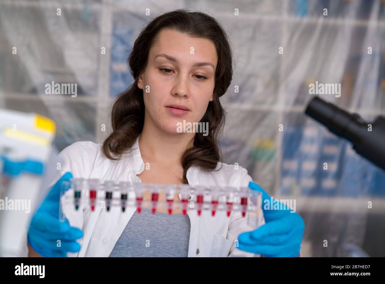 Young woman in clinical lab does PCR test on viral disease Stock Photo ...