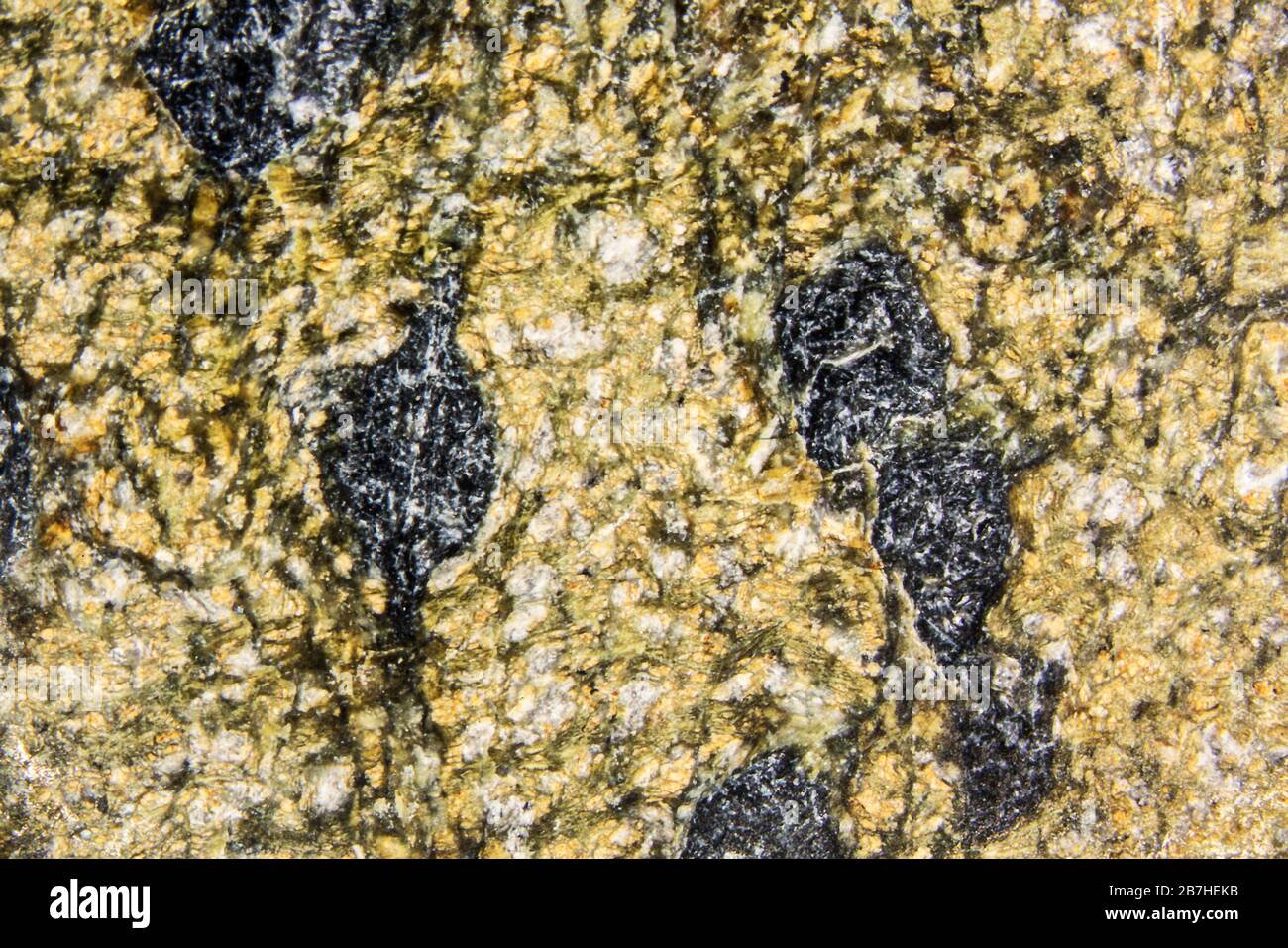 Serpentinite Thin Section