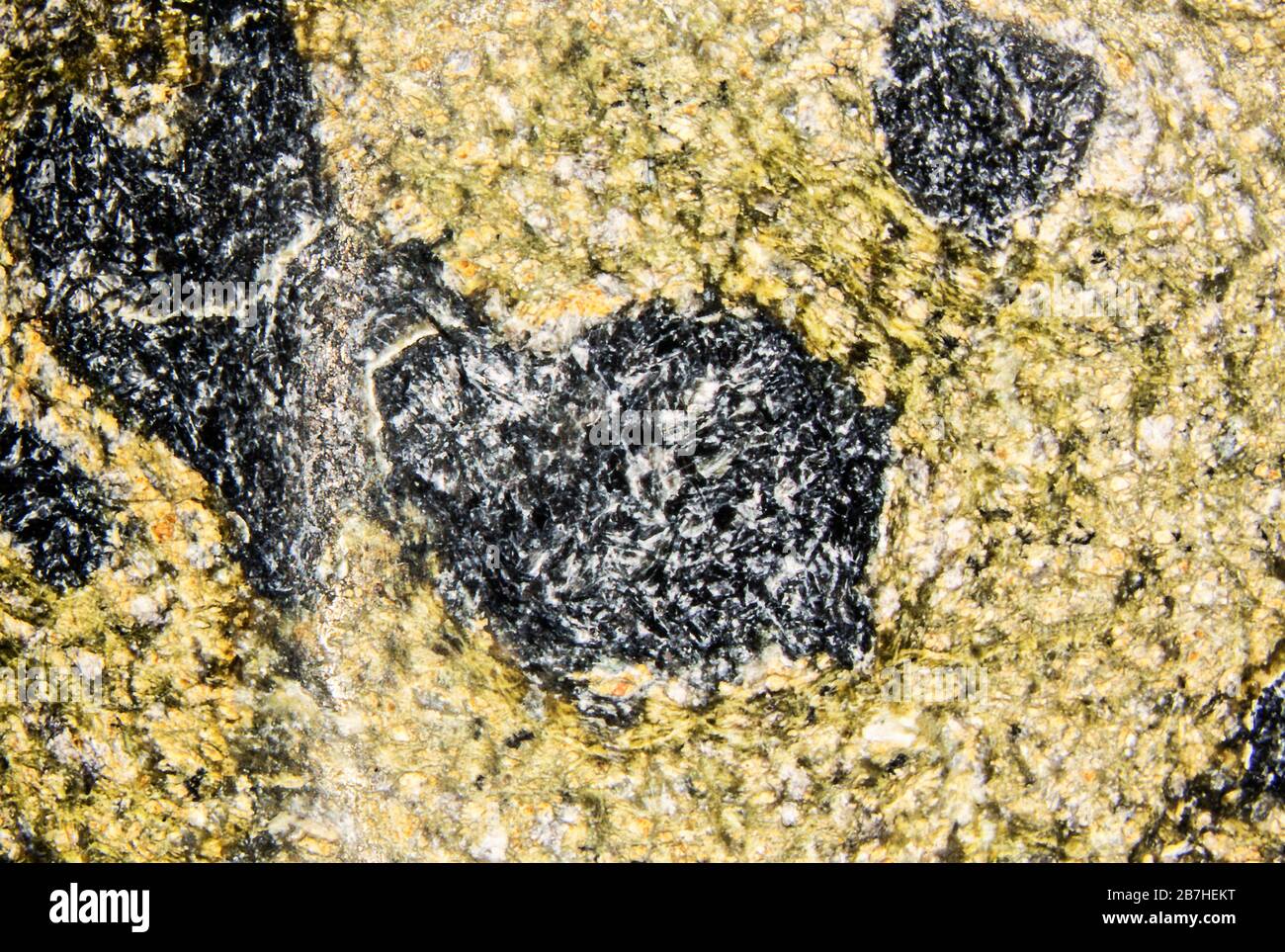 Serpentine mineral under the microscope Stock Photo - Alamy