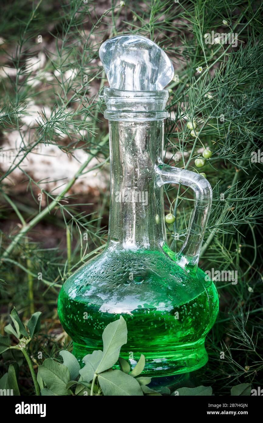 Glass vessel with green herbal potion in the woods. Herbal and magic ...