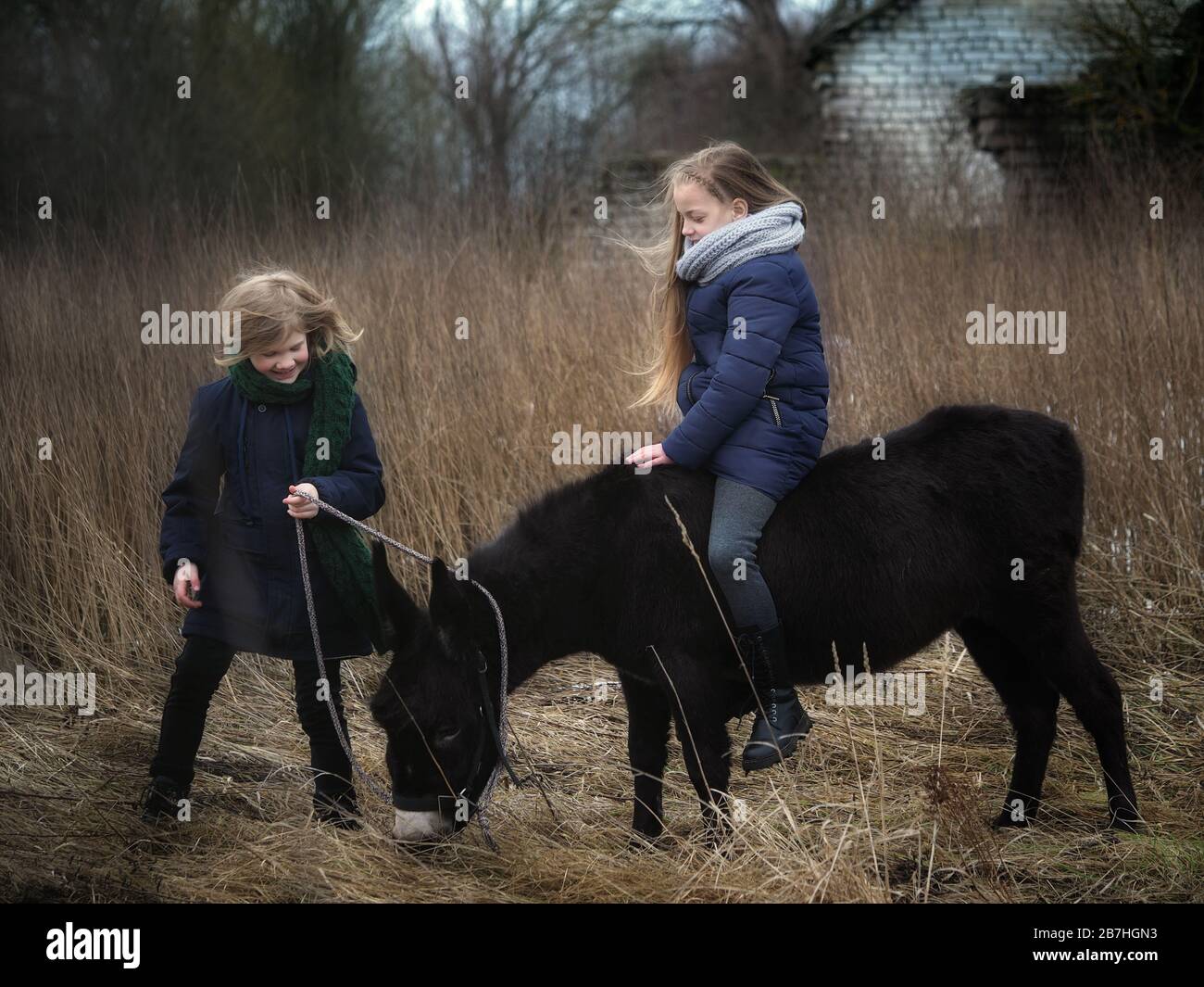 Village children graze a donkey in the field and ride on horseback ...