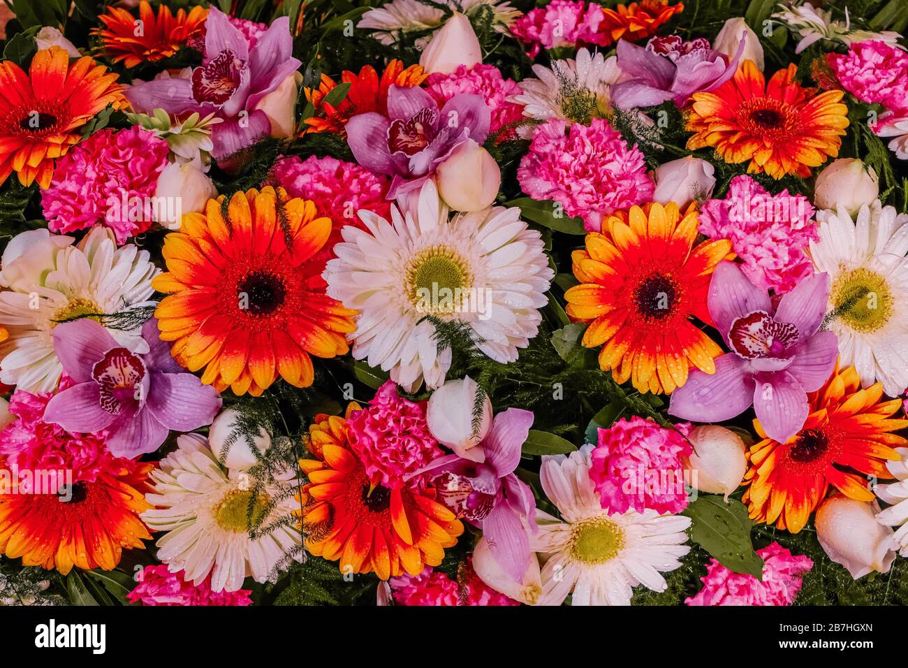 Flowers flat lay composition Stock Photo - Alamy