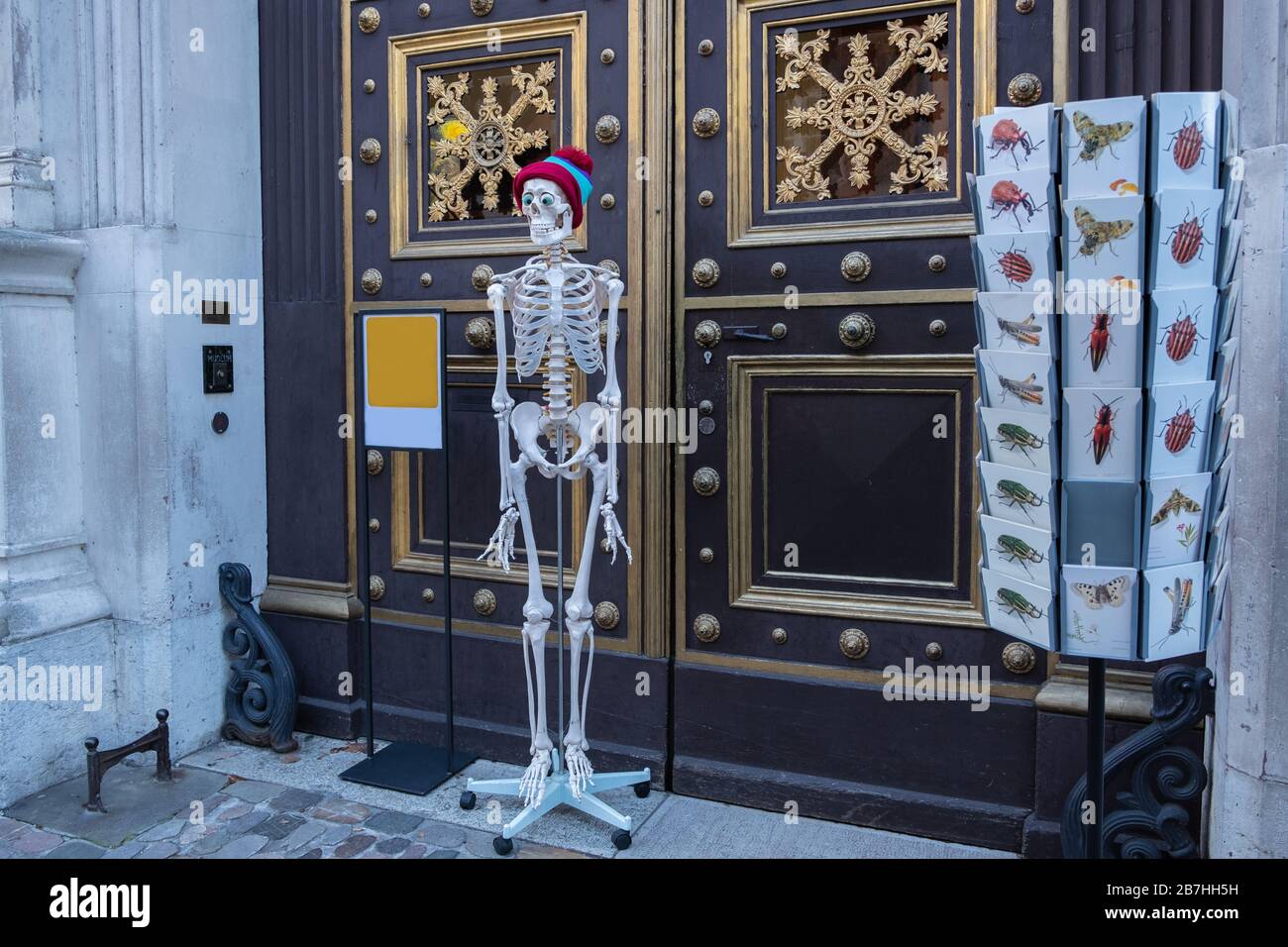 A model of skeleton standing outside with a bobble cup Stock Photo - Alamy