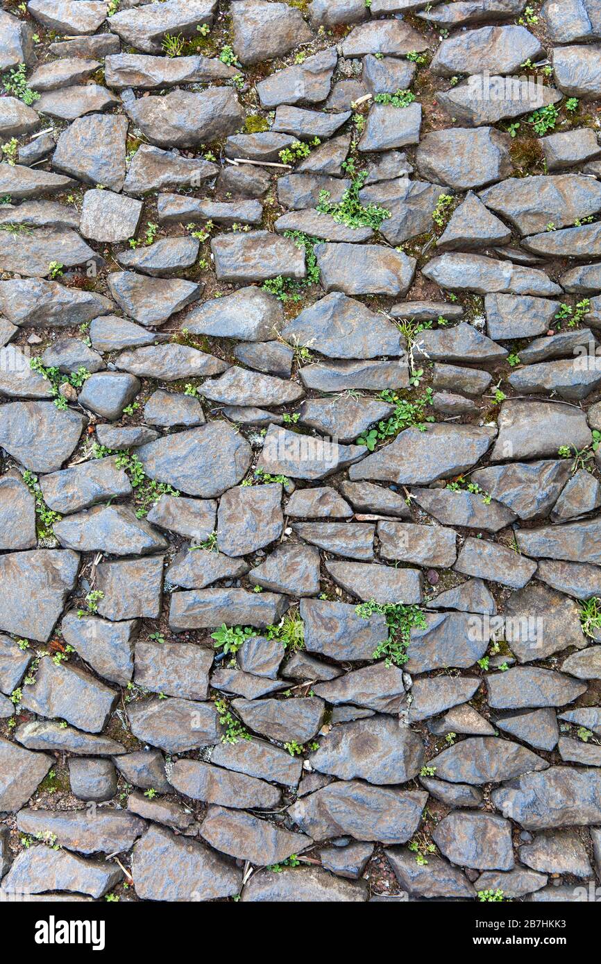 Pathway texture hi-res stock photography and images - Alamy
