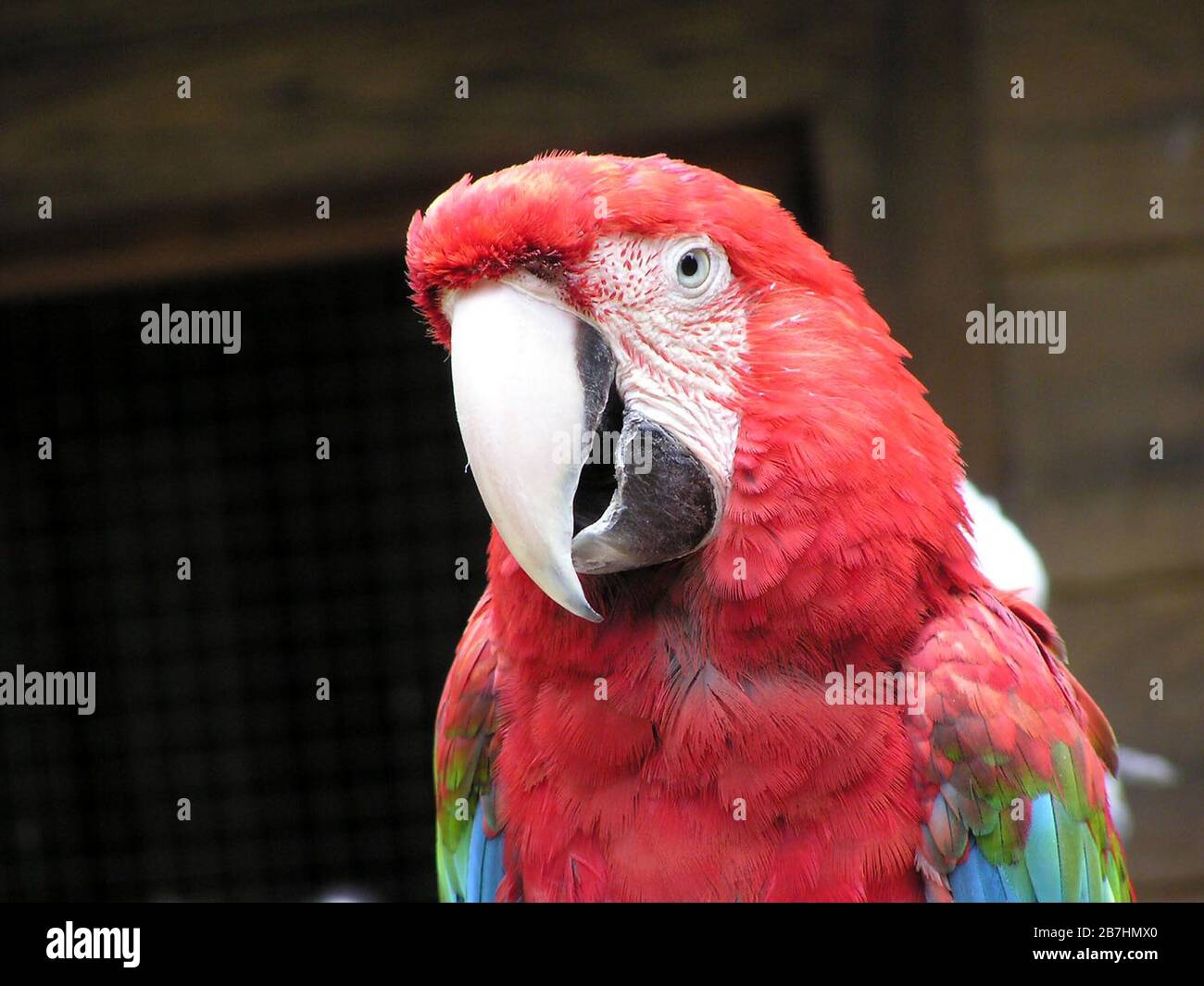 Birds in the zoo hi-res stock photography and images - Alamy