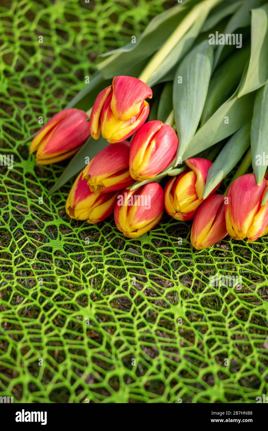 Spring Background with Flowers on green grass Stock Photo - Alamy