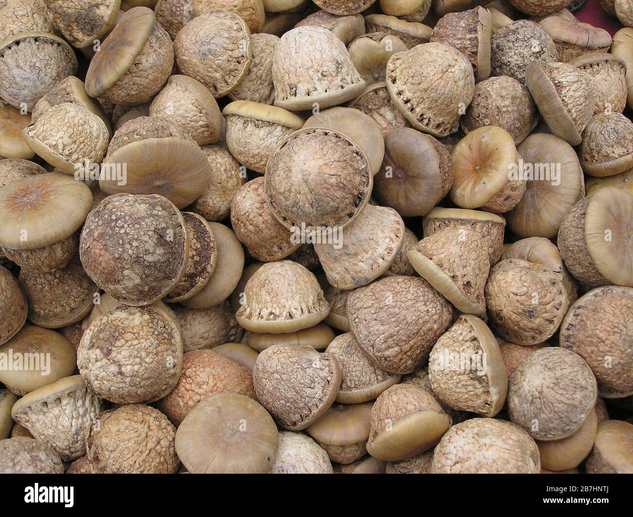 Nuts medicinal materials in a market, north china Stock Photo - Alamy