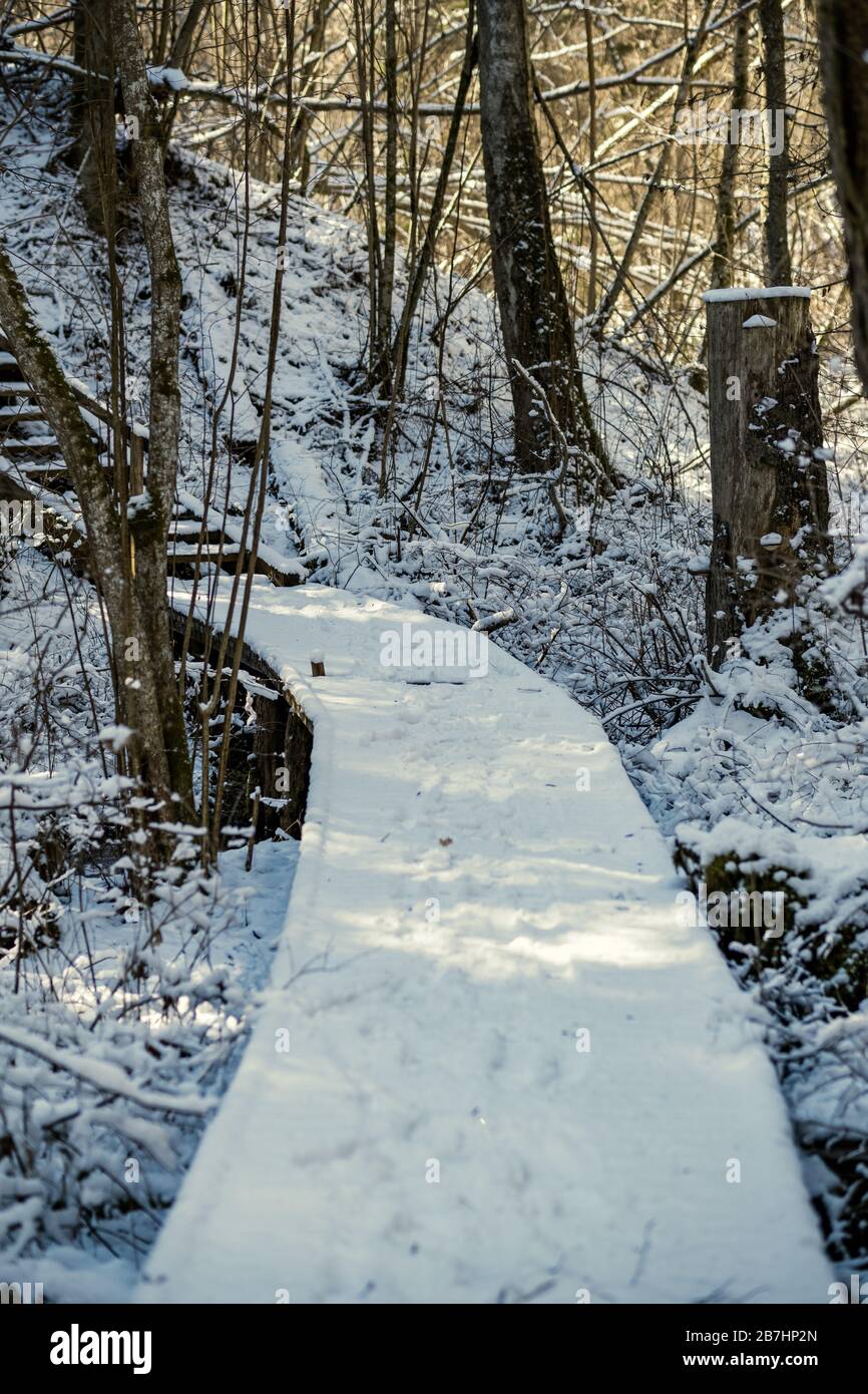snowy pathway for walking in forest in winter, sunny day with stairs ...