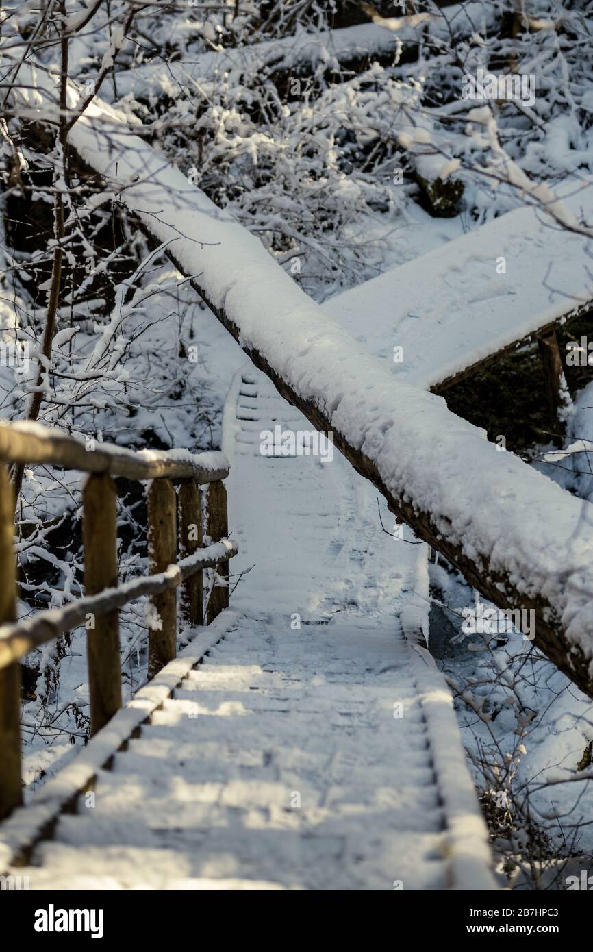 snowy pathway for walking in forest in winter, sunny day with stairs ...